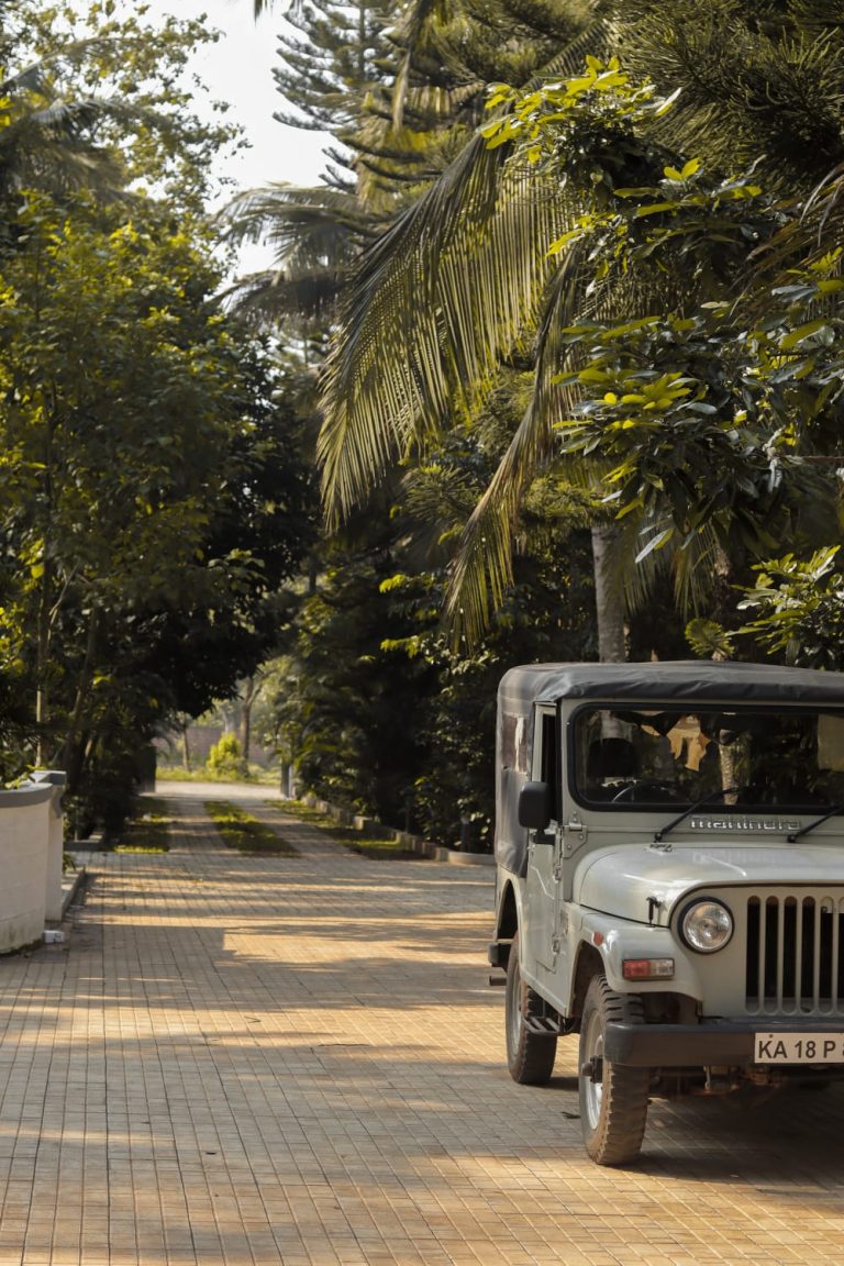 About - Mazra Retreat